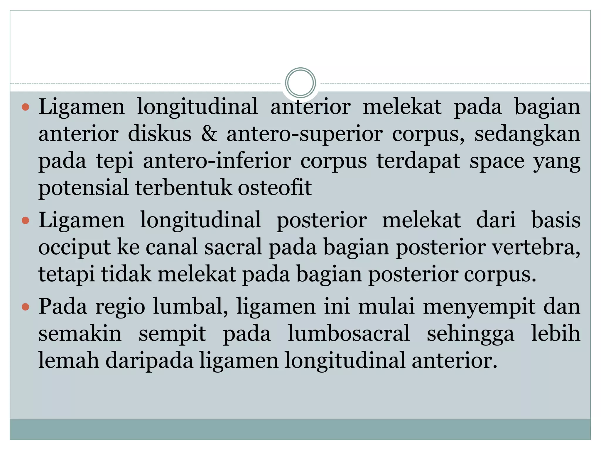 Konsep Anatomi Biomekanik Vertebra | PDF