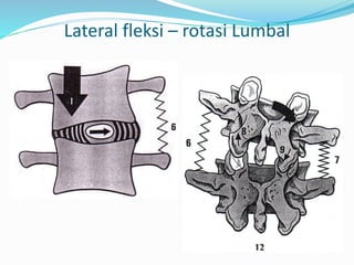 Konsep Anatomi Biomekanik Vertebra | PDF
