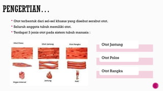 KONSEP ANATOMI SISTEM OTOT, BAGIAN-BAGIAN OTOT.pptx