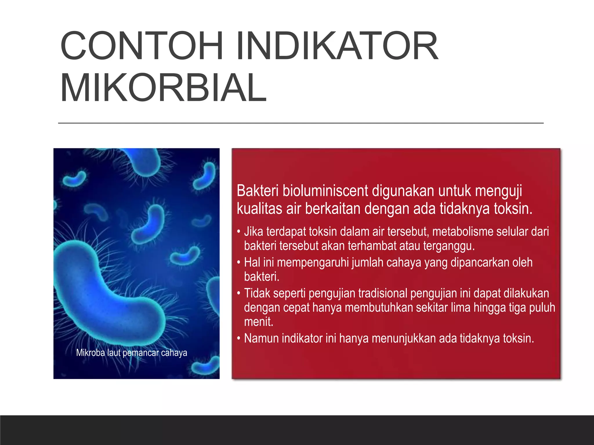 Konsep bioindikator dan contoh bioindokator (ppt) | PPTX