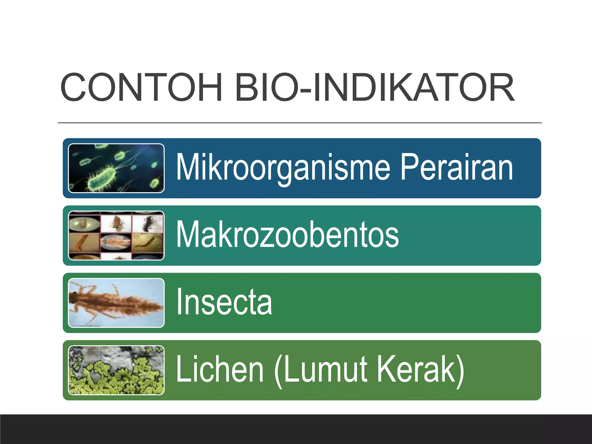 Konsep bioindikator dan contoh bioindokator (ppt) | PPTX