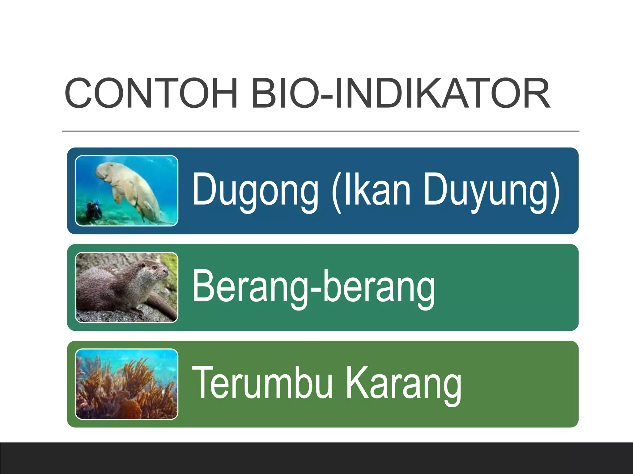 Konsep bioindikator dan contoh bioindokator (ppt) | PPTX