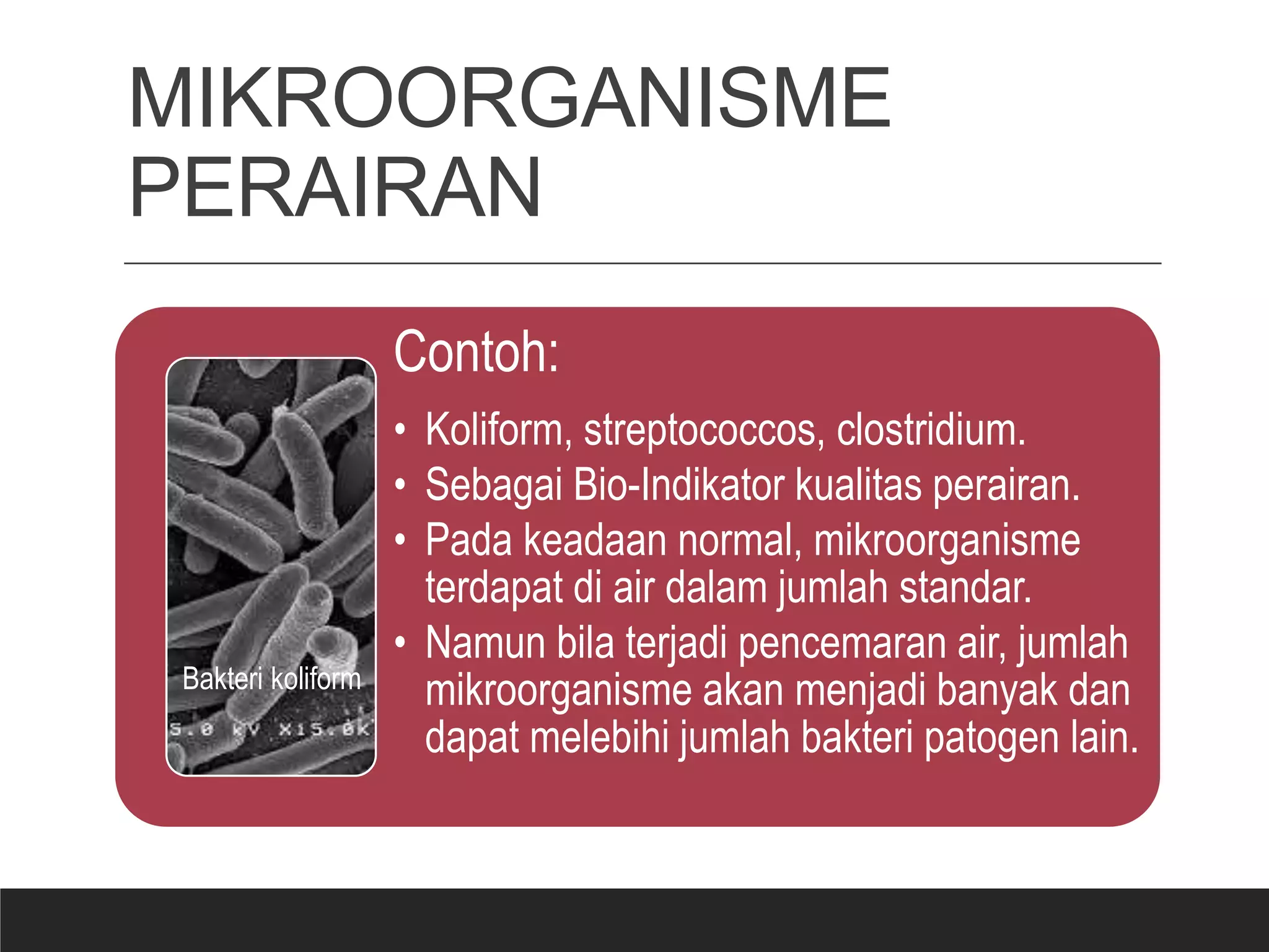 Konsep bioindikator dan contoh bioindokator (ppt) | PPTX