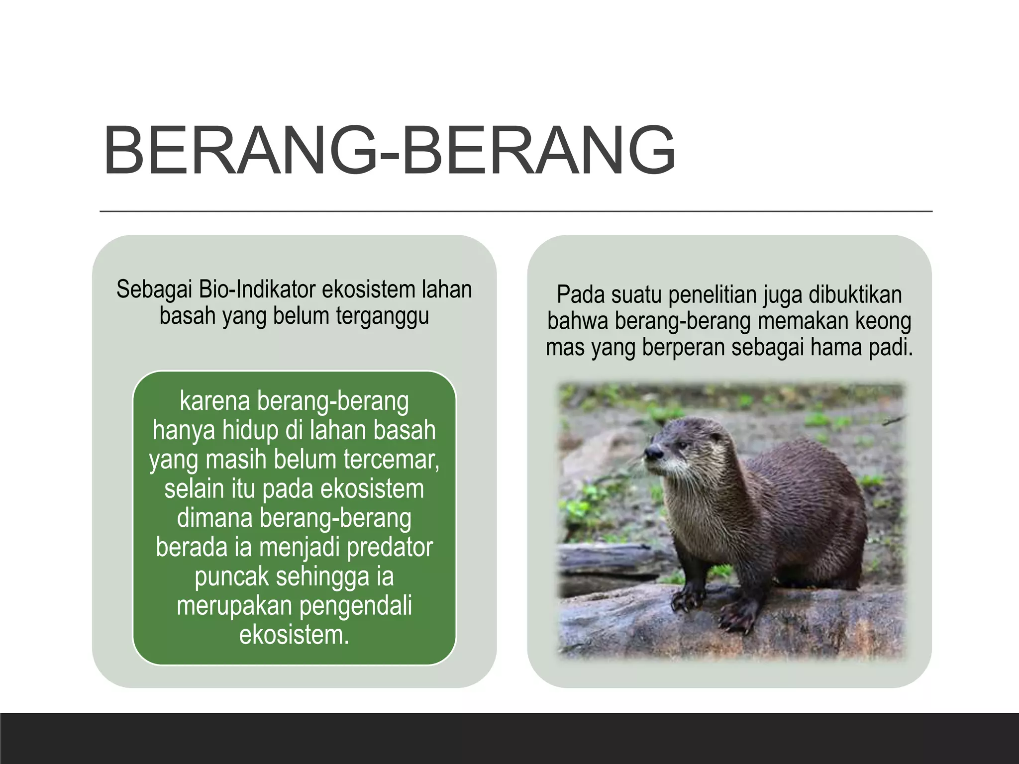 Konsep bioindikator dan contoh bioindokator (ppt) | PPTX