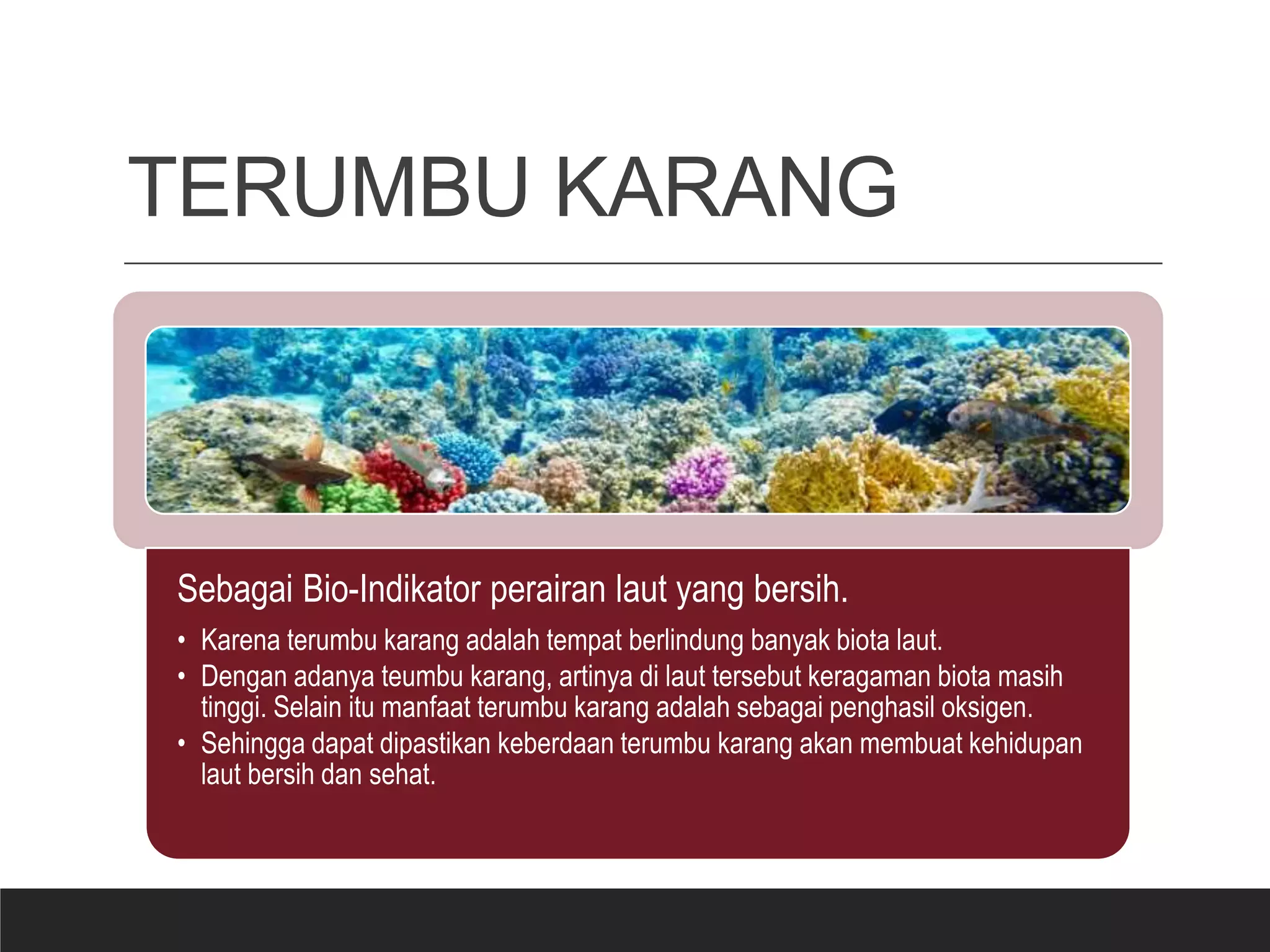 Konsep bioindikator dan contoh bioindokator (ppt) | PPTX
