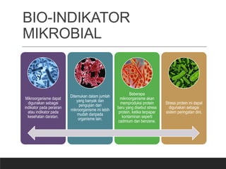 Konsep bioindikator dan contoh bioindokator (ppt) | PPTX
