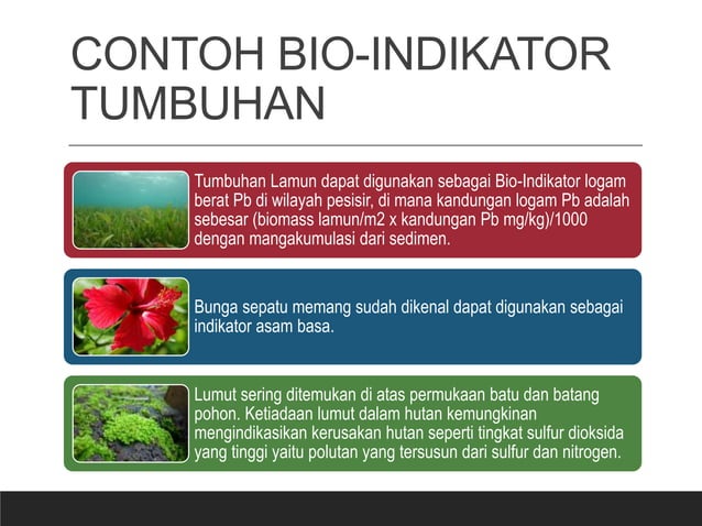 Konsep bioindikator dan contoh bioindokator (ppt) | PPTX