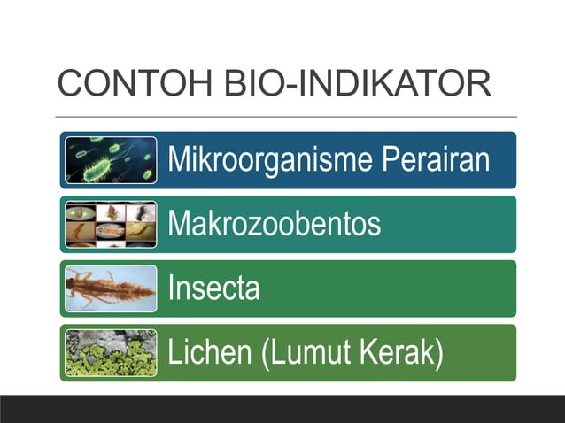 Konsep bioindikator dan contoh bioindokator (ppt) | PPTX