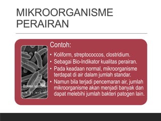 Konsep bioindikator dan contoh bioindokator (ppt) | PPTX