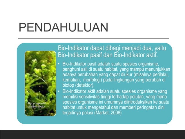 Konsep bioindikator dan contoh bioindokator (ppt) | PPTX