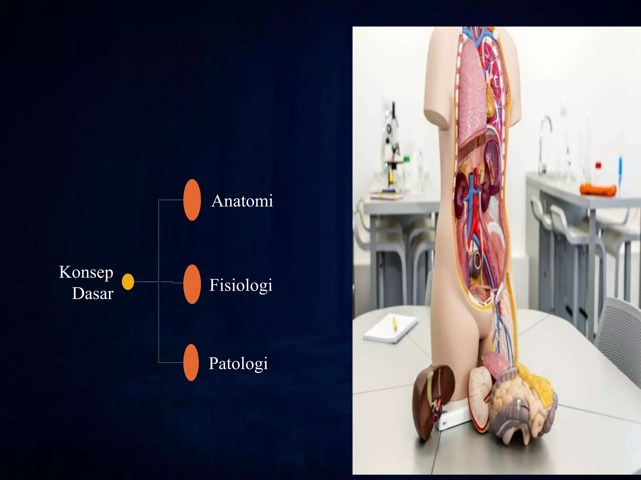 Konsep dasar Anatomi, Fisiologi dan Patologi kelompok 3.pptx