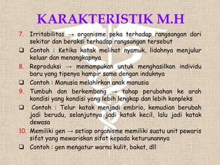 Konsep dasar biologi | PPTX