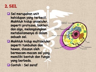 Konsep dasar biologi | PPTX