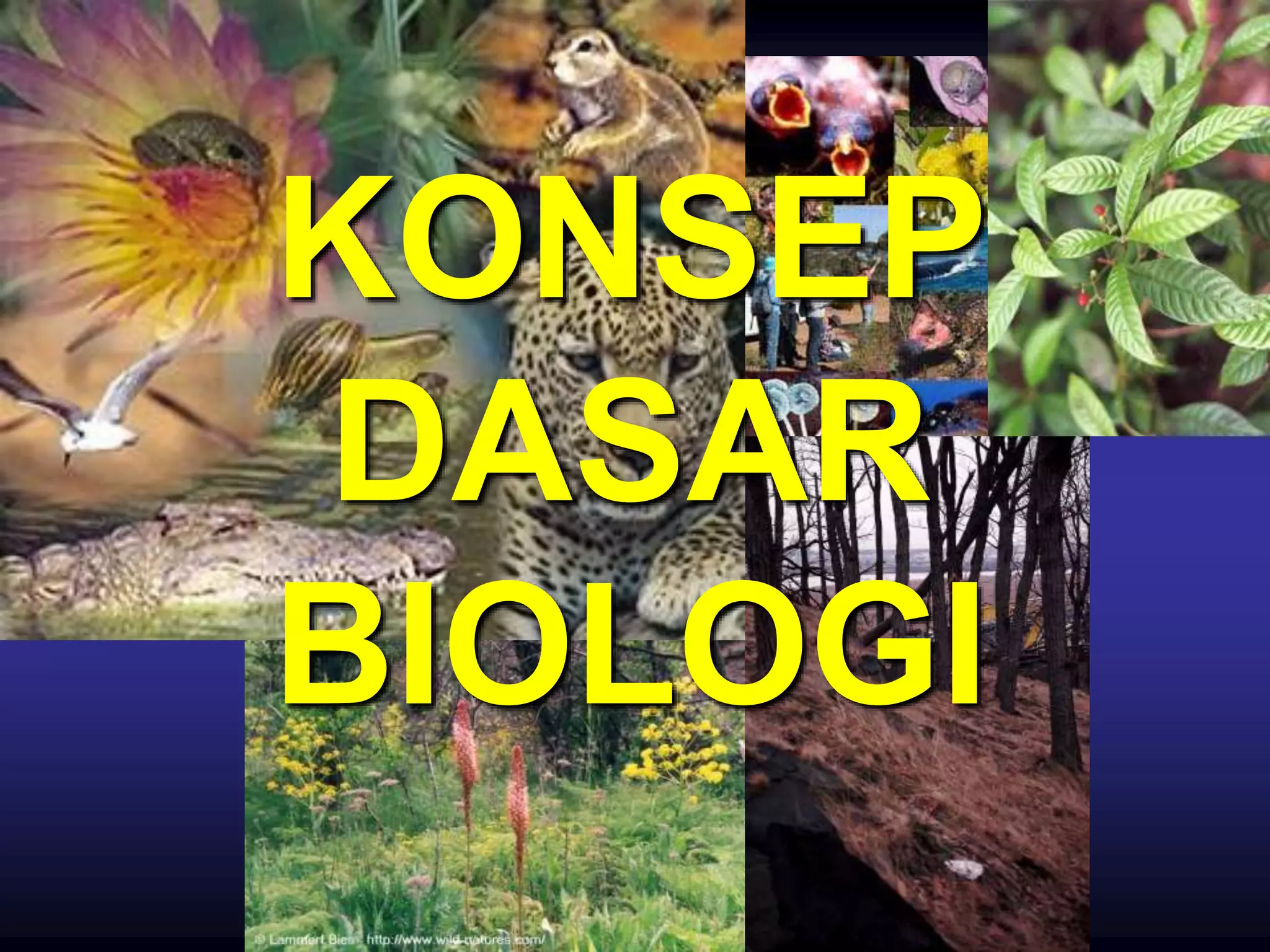 Konsep_Dasar_Biologi.ppt