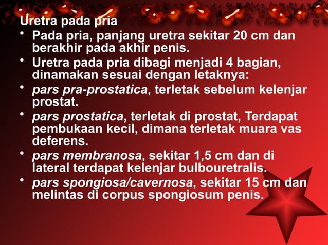 Konsep Dasar Eliminasi Urine dan Bowel.ppt