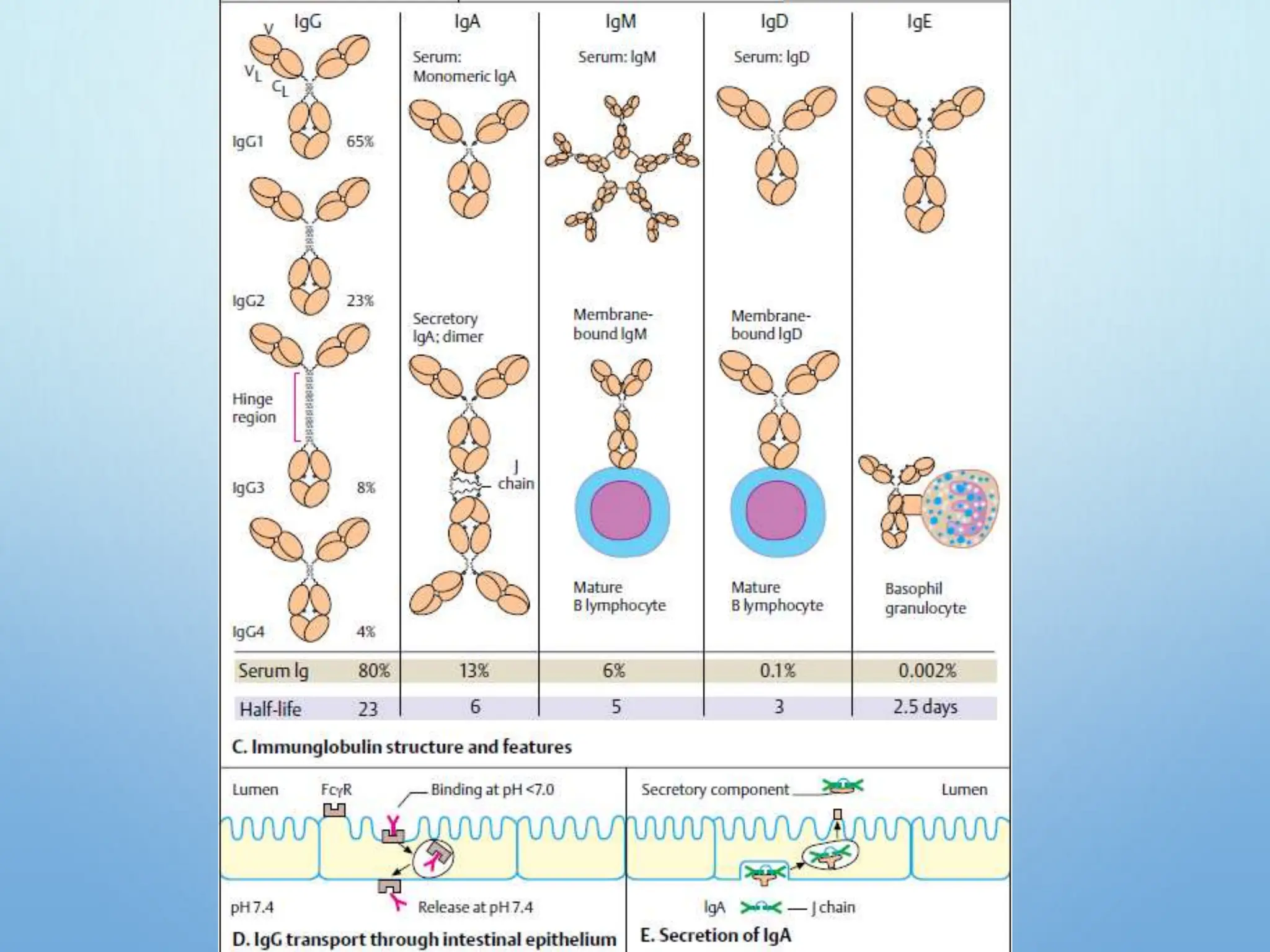 KONSEP DASAR IMUNOLOGI.pptx