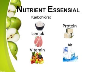 KONSEP DASAR KEBUTUHAN NUTRISI.pptx