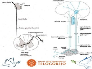 KONSEP DASAR KEBUTUHAN RASA AMAN DAN NYAMAN.pptx