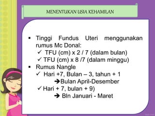 Konsep dasar kehamilan | PPT