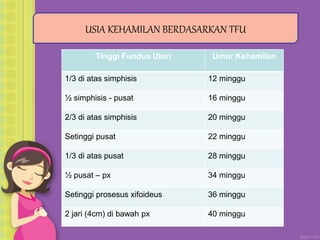 Konsep dasar kehamilan | PPT