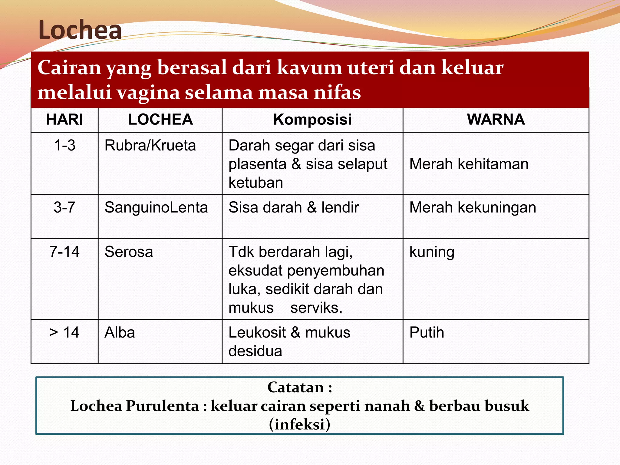 Konsep dasar masa nifas | PPTX