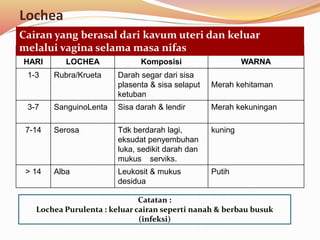 Konsep dasar masa nifas | PPTX