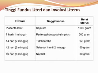 Konsep dasar masa nifas | PPTX