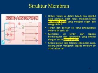 KONSEP DASAR MEMBRAN BIOLOGIS DAN PERMEABILITAS PADA PROSES ABSORPSI ...
