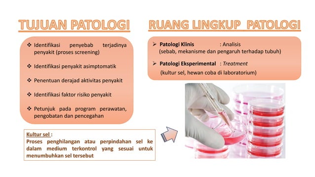 KONSEP DASAR PATOLOGI DAN PATOFISIOLOGI-1.pdf