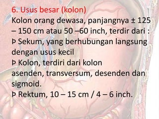 Konsep dasar pemenuhan eliminasi fecal | PPTX