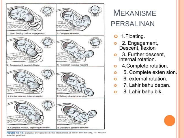 Konsep konsep Dasar persalinan Normal.ppt
