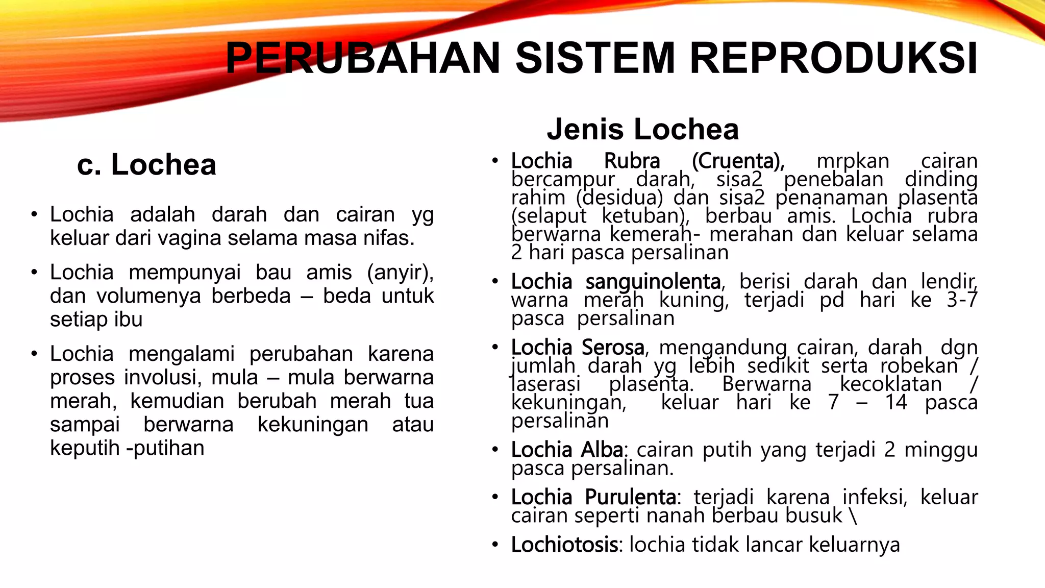 Konsep dasar post partum (nifas).pptx