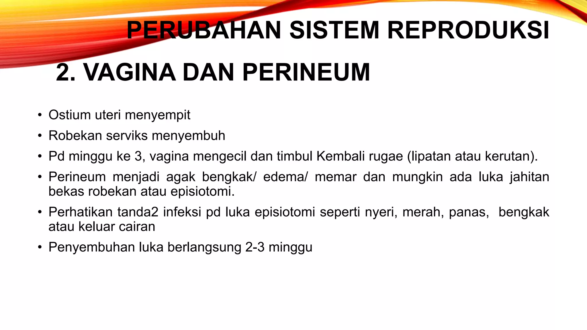 Konsep dasar post partum (nifas).pptx