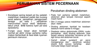 Konsep dasar post partum (nifas).pptx