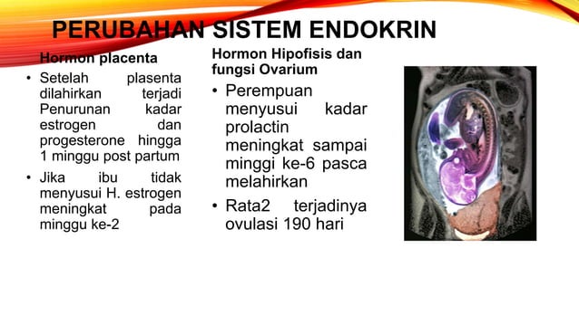 Konsep dasar post partum (nifas).pptx
