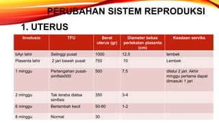 Konsep dasar post partum (nifas).pptx