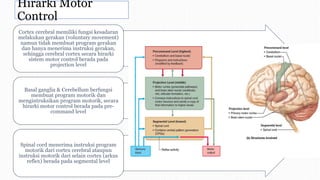 KONSEP DASAR SISTEM SARAF.pptx
