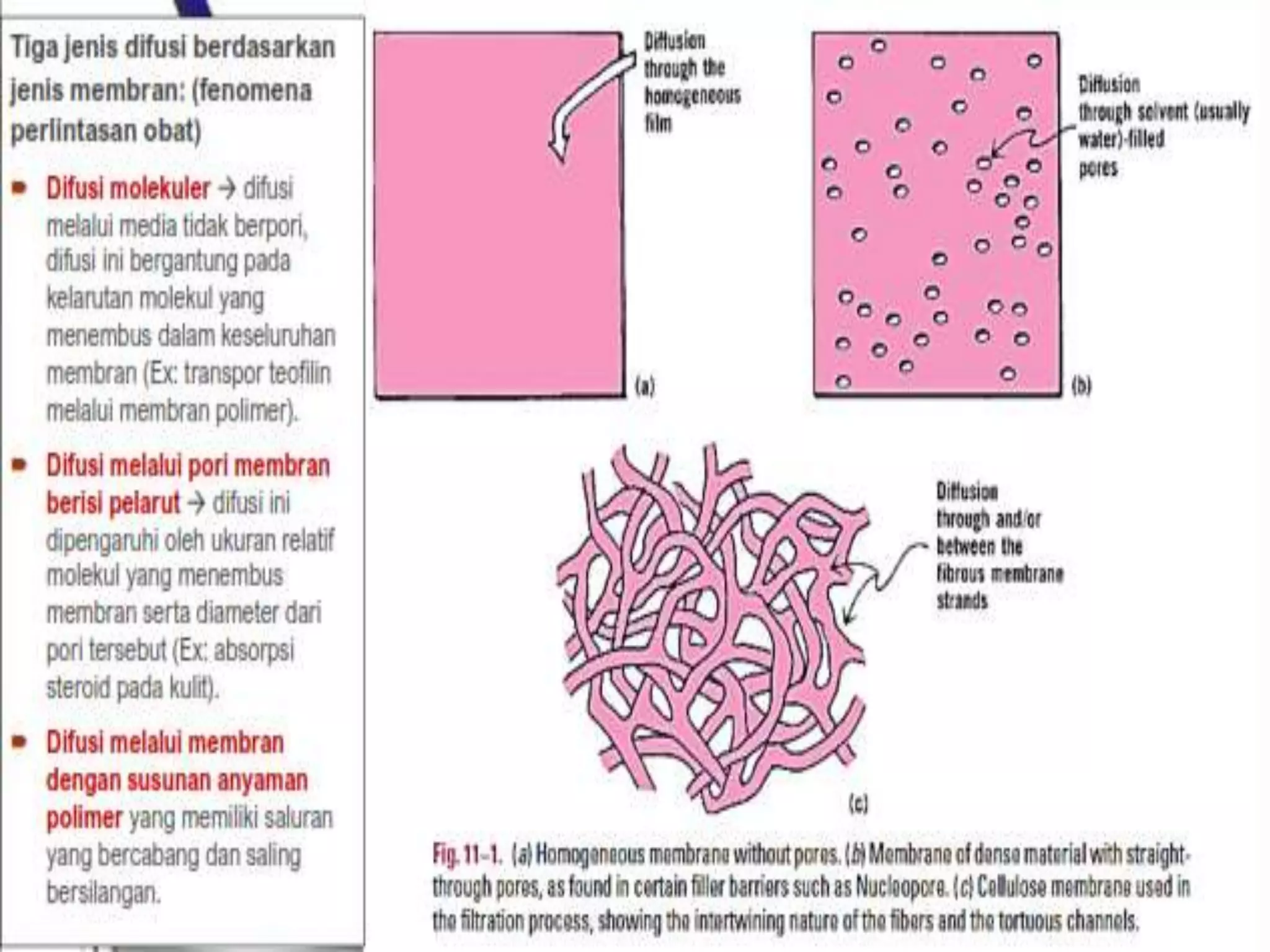 KONSEP DIFUSI DAN DISOLUSI.pptx