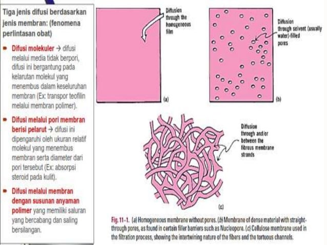 KONSEP DIFUSI DAN DISOLUSI.pptx