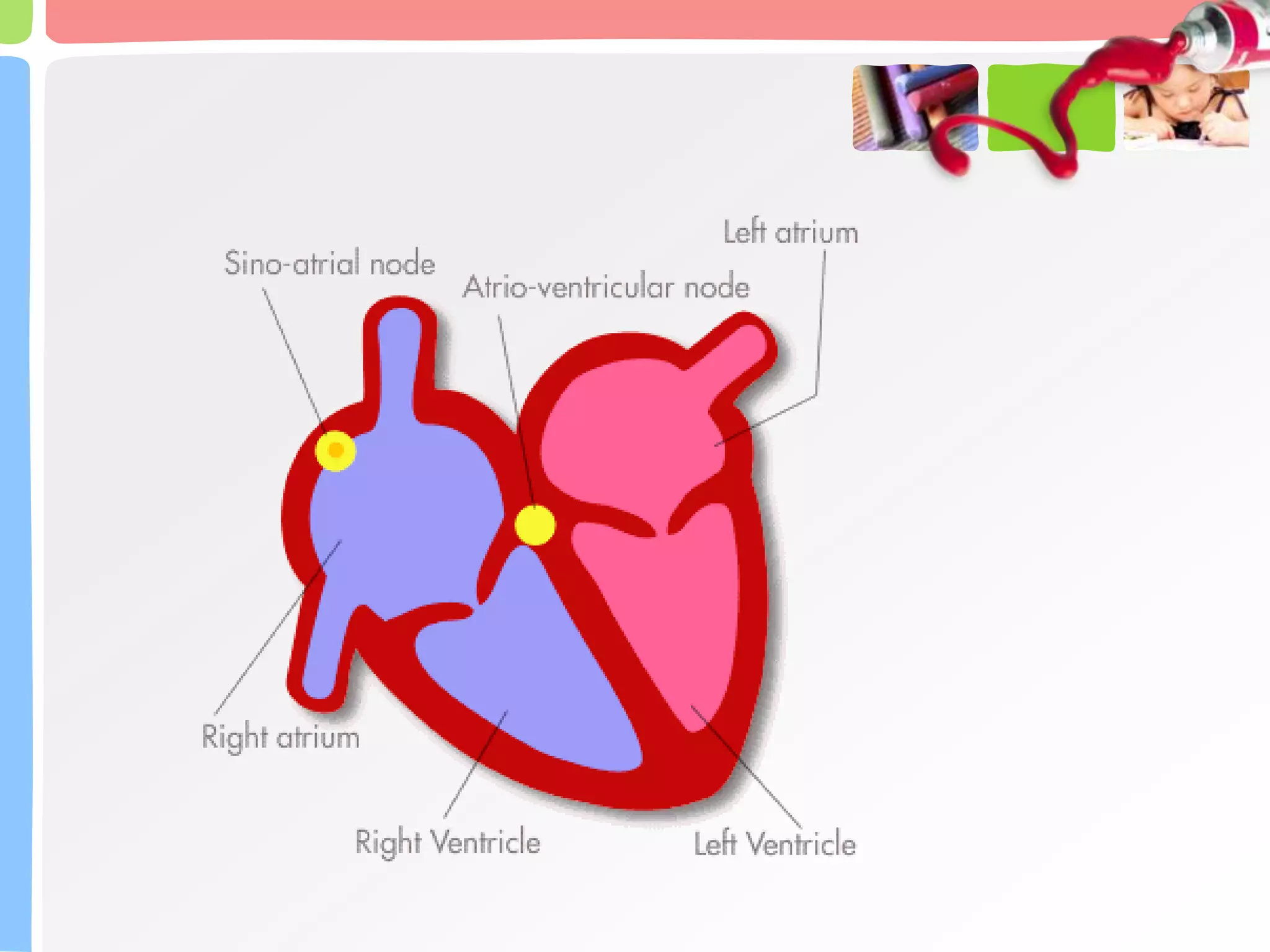Konsep ekg, listrik dan magnet dalam tubuh | PPTX