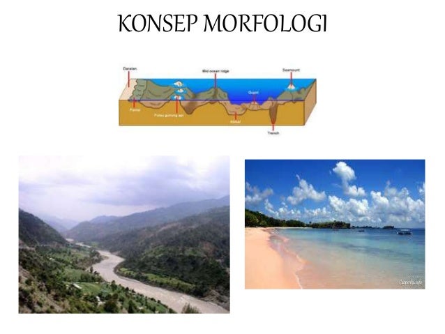 Contoh Konsep Morfologi