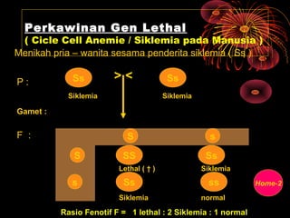 Konsep hereditas mendel | PPT