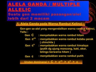 Konsep hereditas mendel | PPT