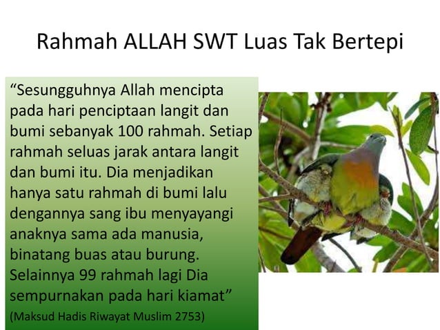 Konsep islam sebagai rahmatan dlm masyarakat majmuk : Dr Ajmain Safar | PPT