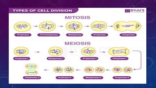 KONSEP KELAINAN DAN INTERAKSI GENETIKA.pptx