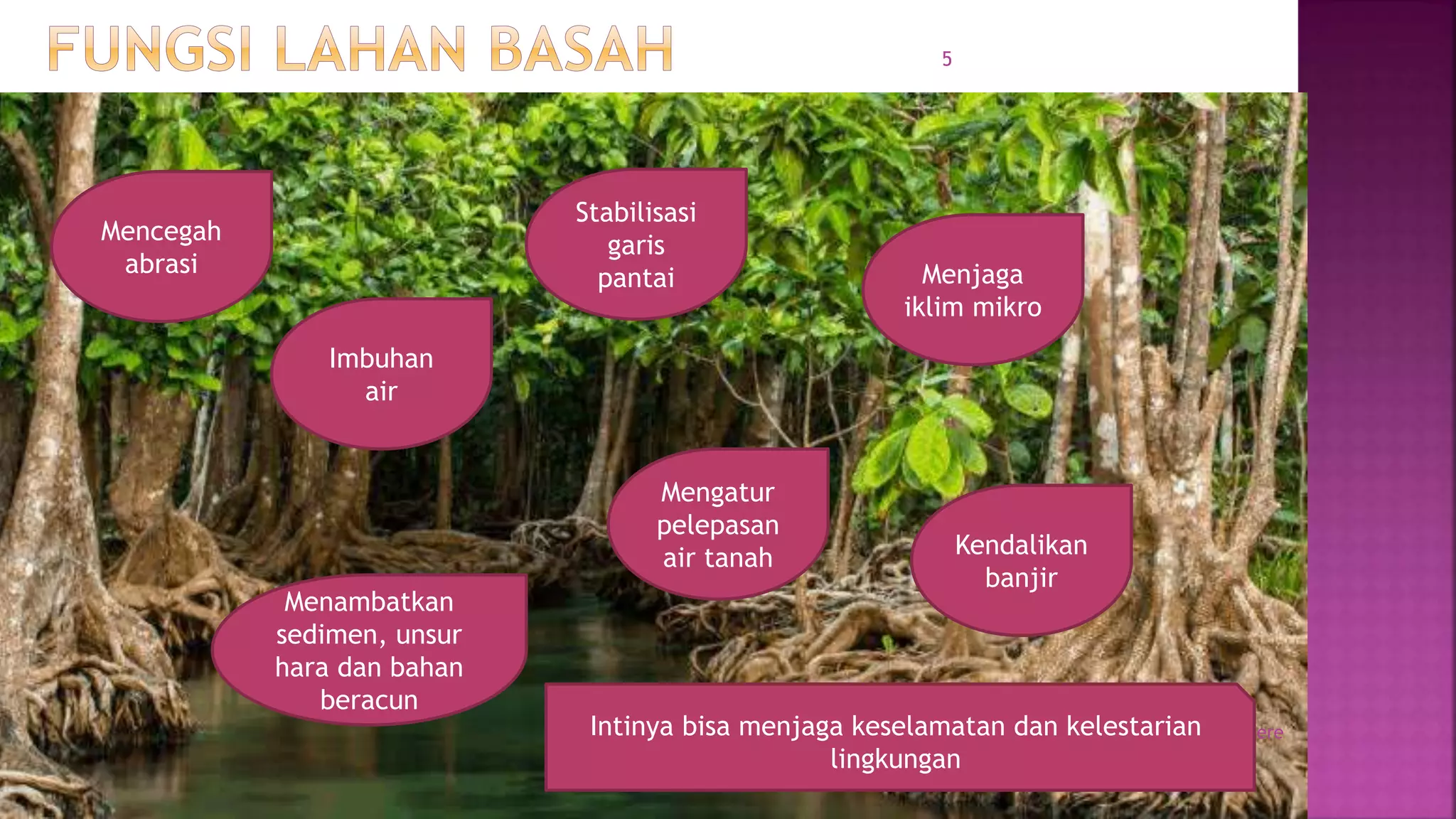 KONSEP_LINGKUNGAN_LAHAN_BASAH.pptx