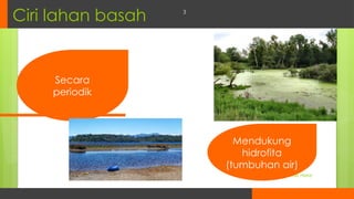 KONSEP_LINGKUNGAN_LAHAN_BASAH fungsi dan manfaatnya.pptx