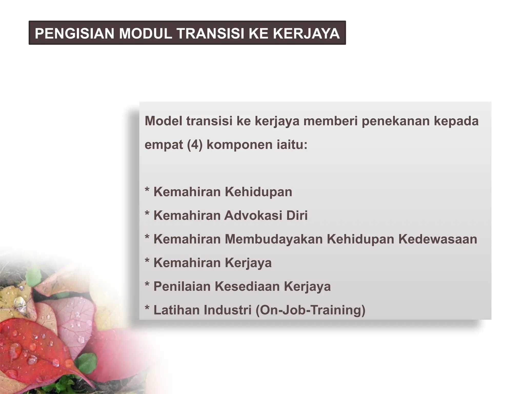 KONSEP MODUL TRANSISI KE KERJAYAPend Khas.pptx