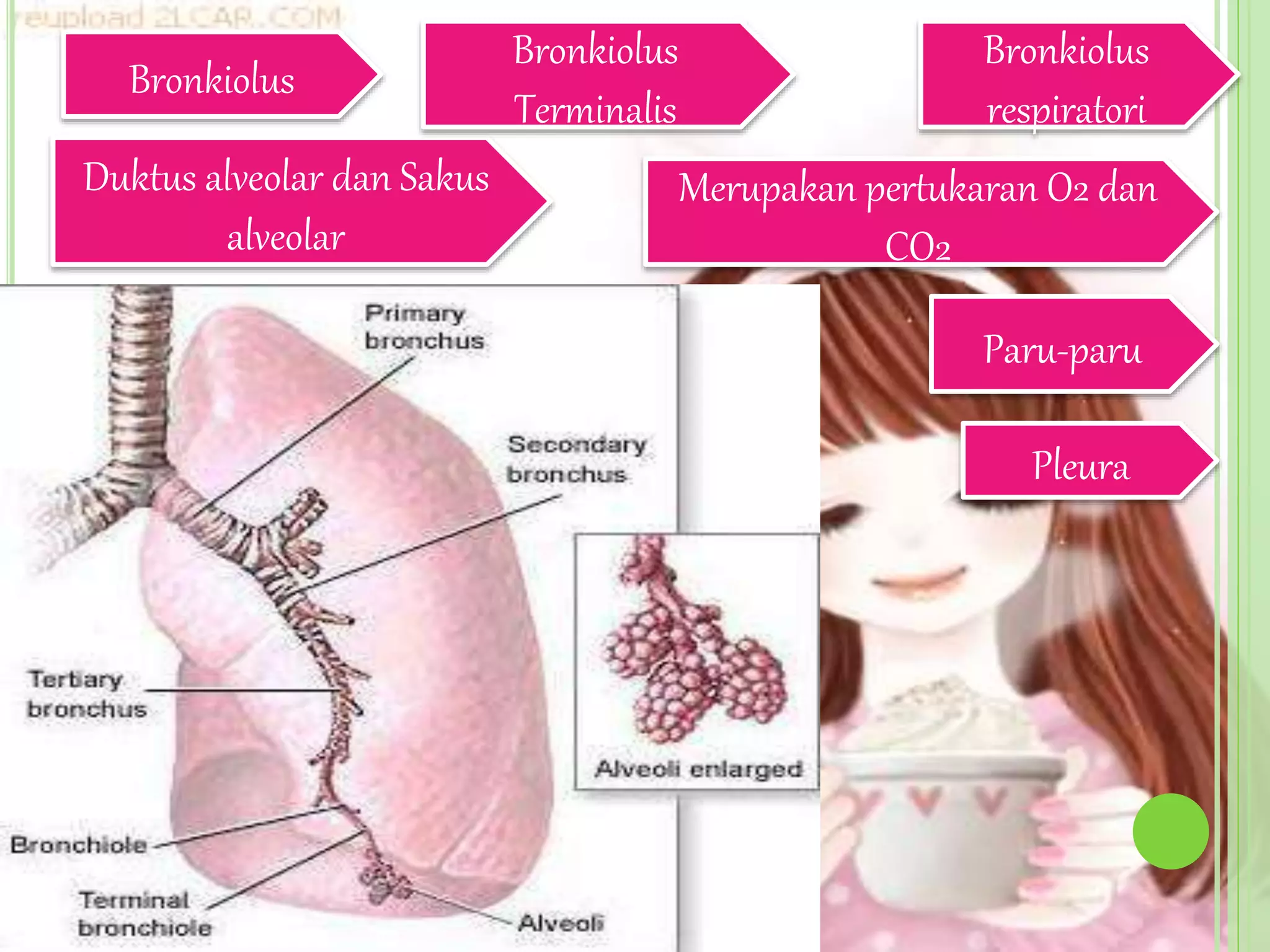 Konsep Oksigenasi Kebutuhan Dasar Manusia 1 | PPTX