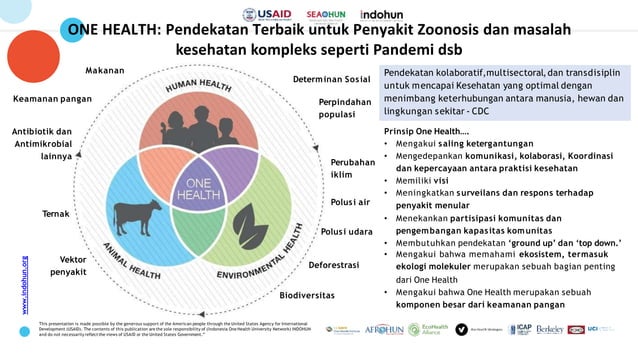 Konsep One Health dalam kesehatan masyarakat.pptx